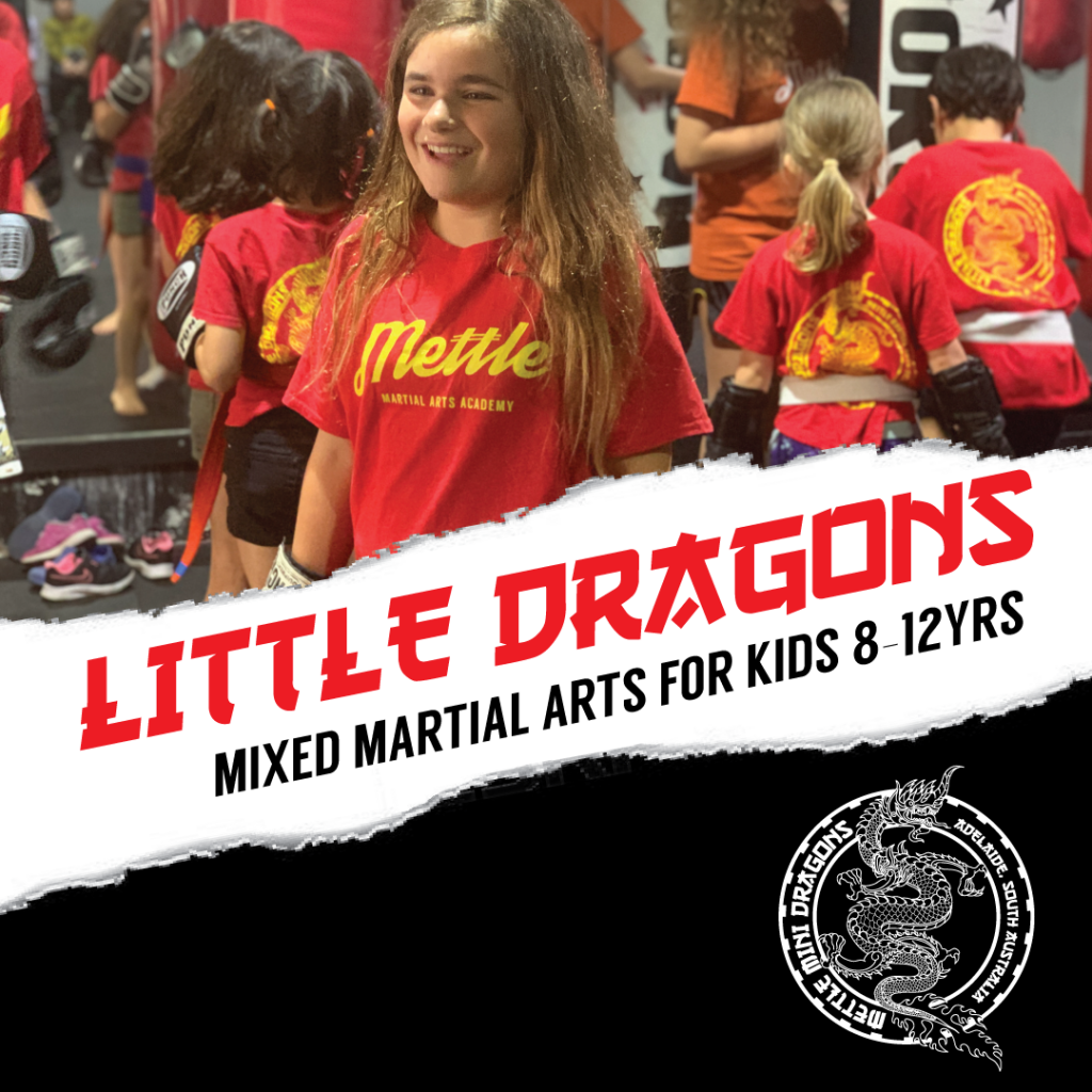 Little Dragons (8-12yrs) - Training Video - Mettle Martial Arts Academy